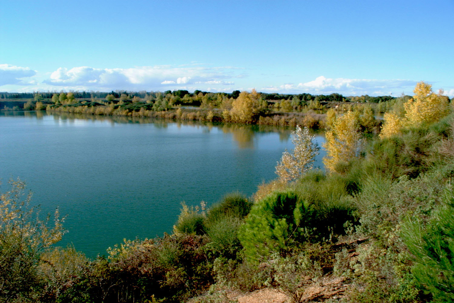 Que Faire à Bellegarde ? | Ville de Bellegarde (Gard) - site officiel