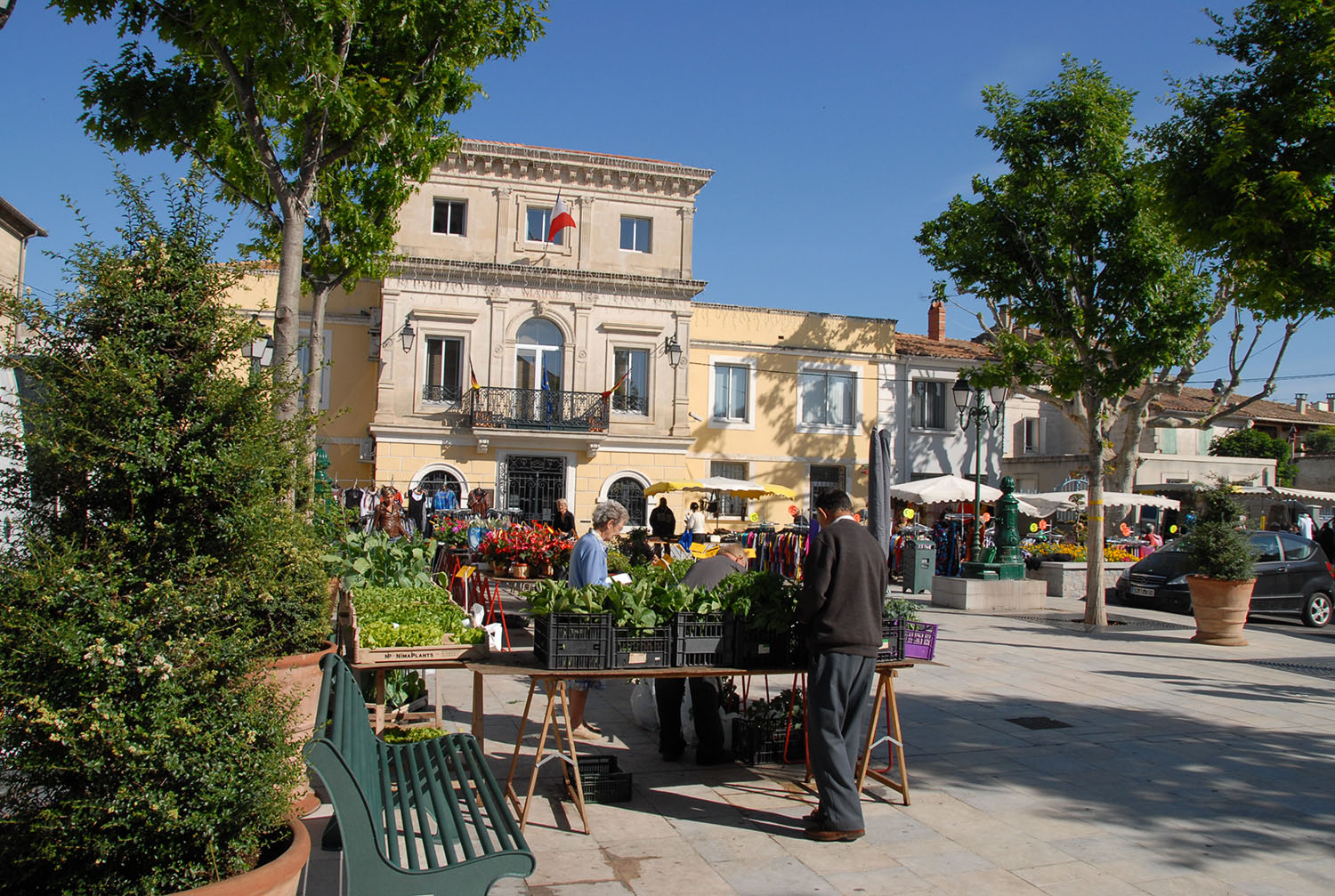 Que Faire à Bellegarde ? | Ville de Bellegarde (Gard) - site officiel