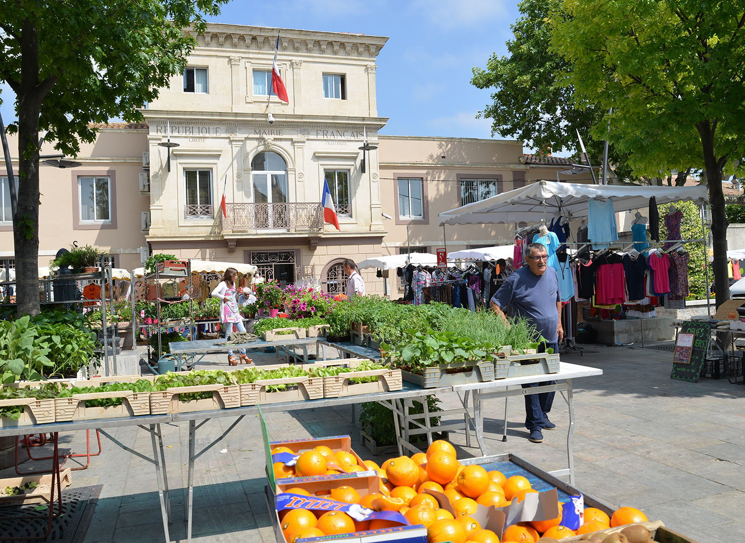 Que Faire à Bellegarde ? | Ville de Bellegarde (Gard) - site officiel
