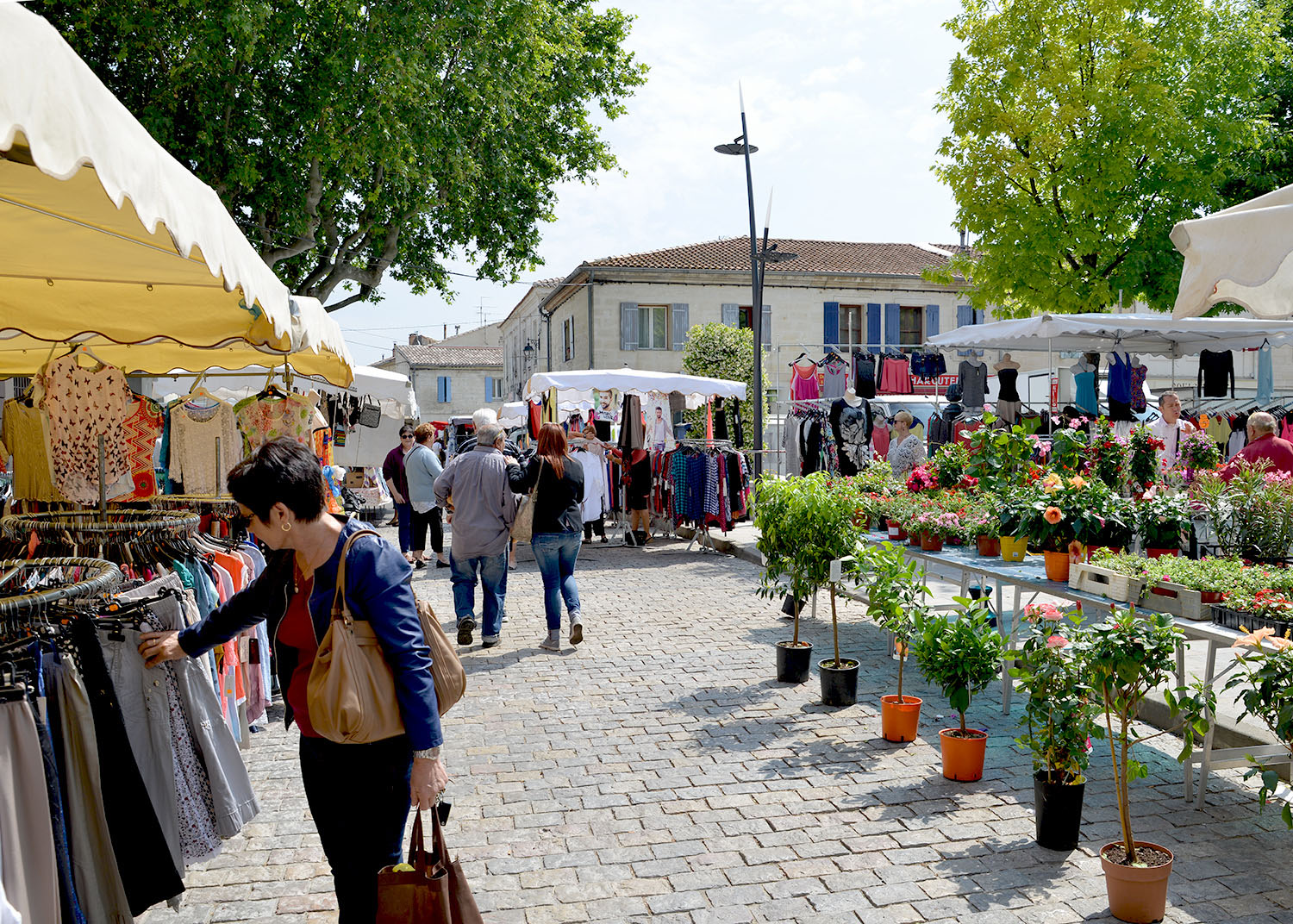 Que Faire à Bellegarde ? | Ville de Bellegarde (Gard) - site officiel