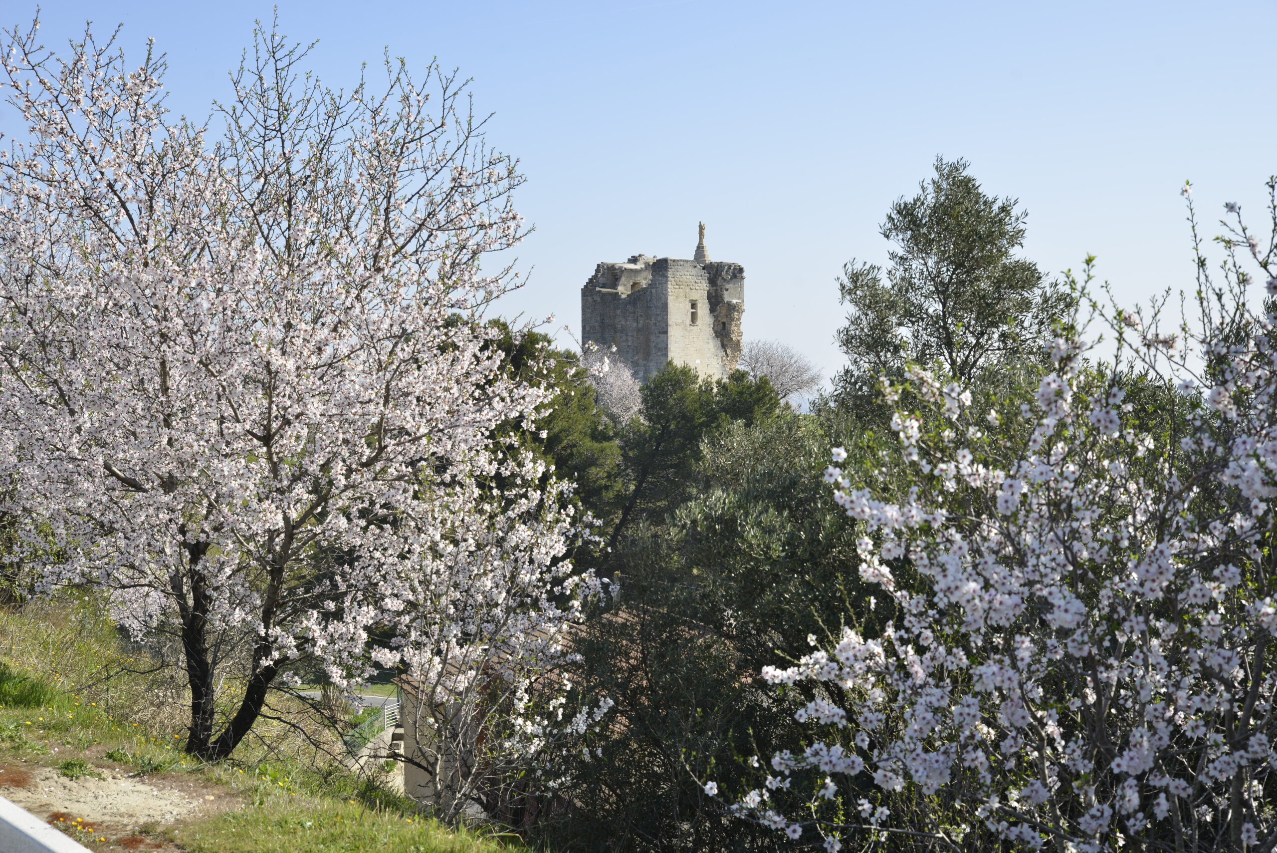 Que Faire à Bellegarde ? | Ville de Bellegarde (Gard) - site officiel